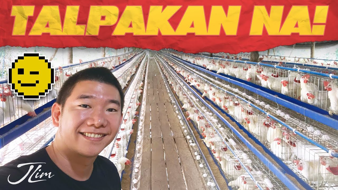 Talpakan na ;) - YouTube