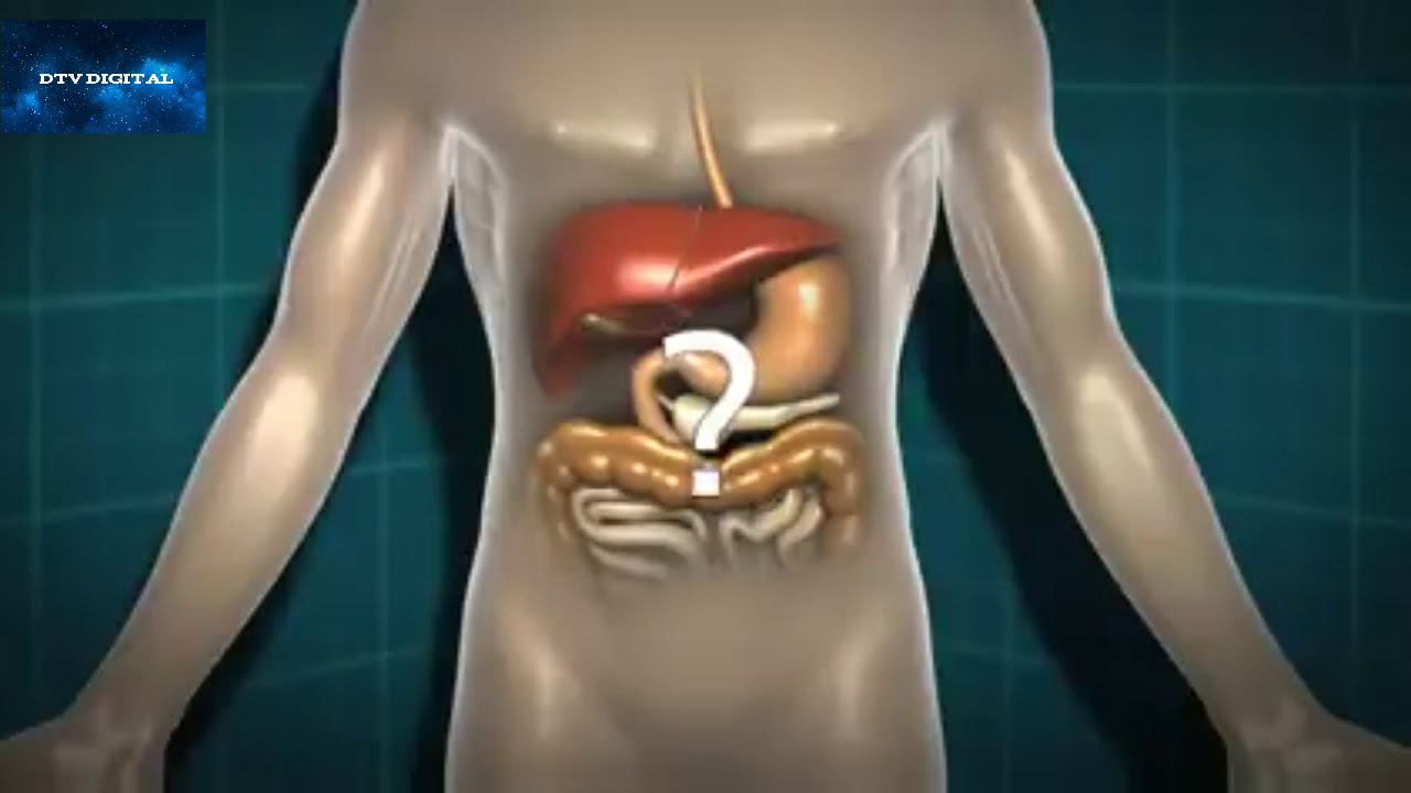Medical Science - YouTube