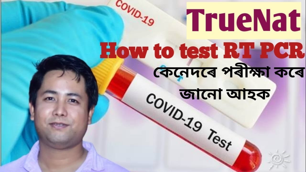 How to test RT-PCR sample - YouTube