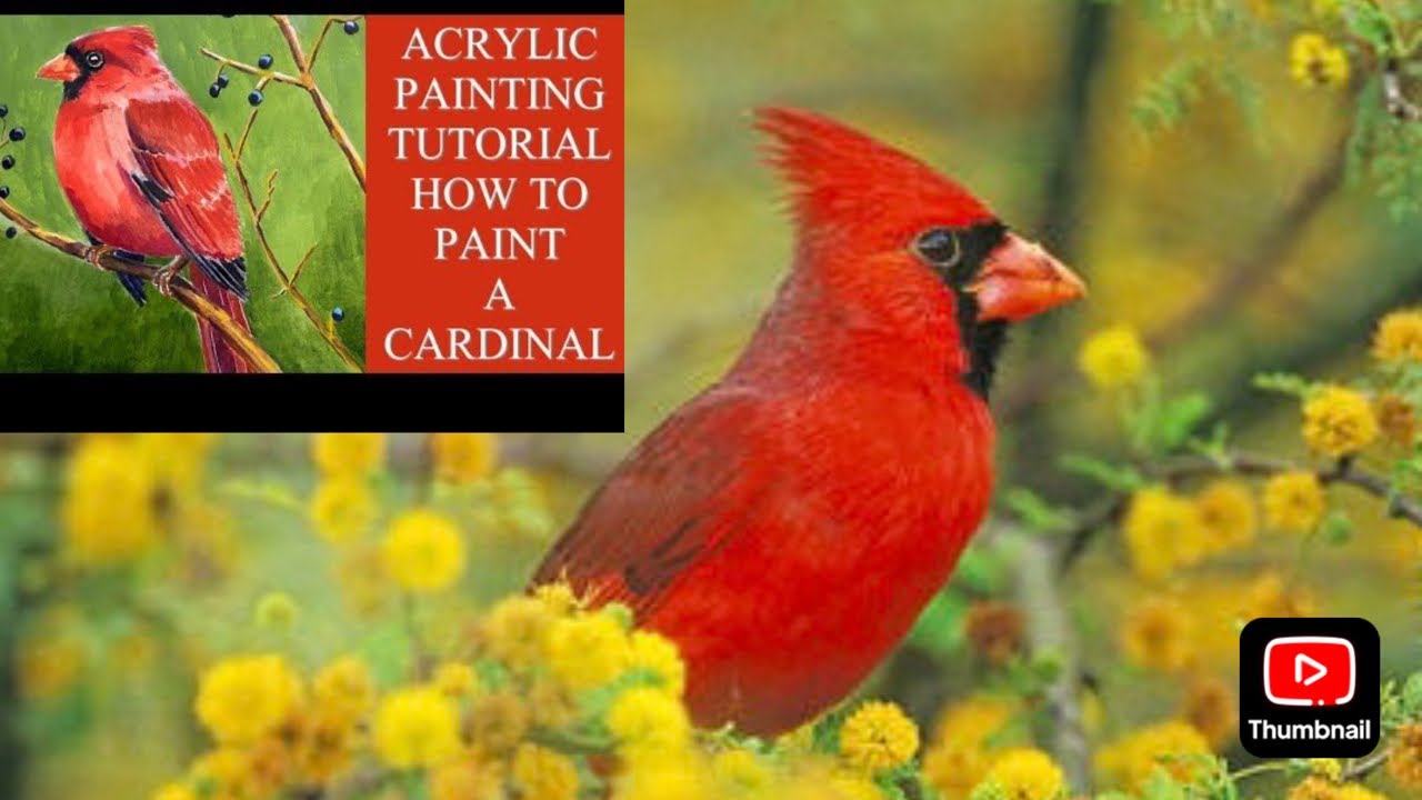 Painting a Cardinal Using Acrylic Pen Brush//Cardinal In Bloom//Step by ...