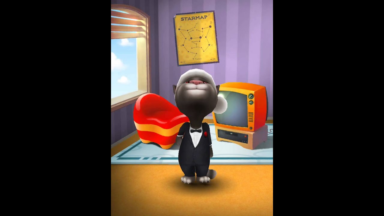 [My Talking Tom] Punch - YouTube