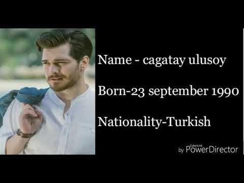 cagatay ulusoy biography