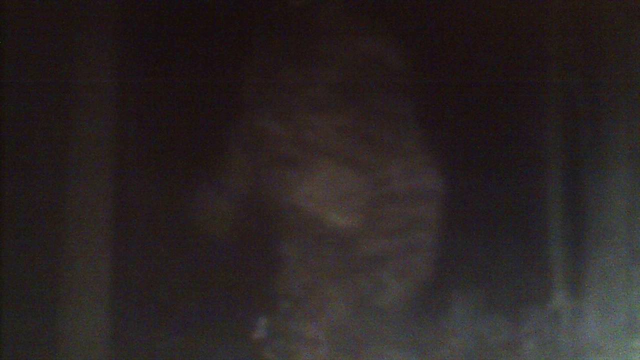 Real Bigfoot caught on night-time trail camera - YouTube