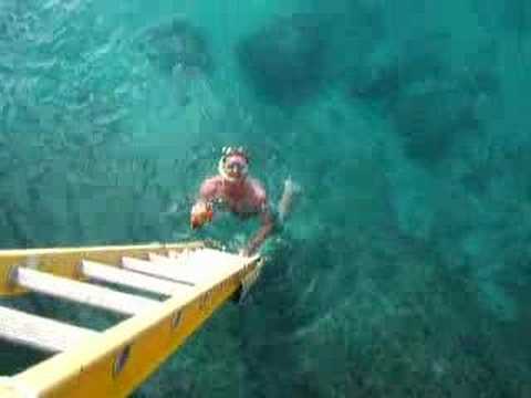 Starfish snorkeling in Eleuthera, Bahamas - YouTube
