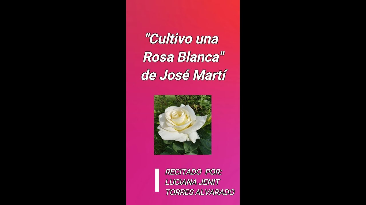 Poema "Cultivo una rosa blanca"-Actividad escolar - YouTube