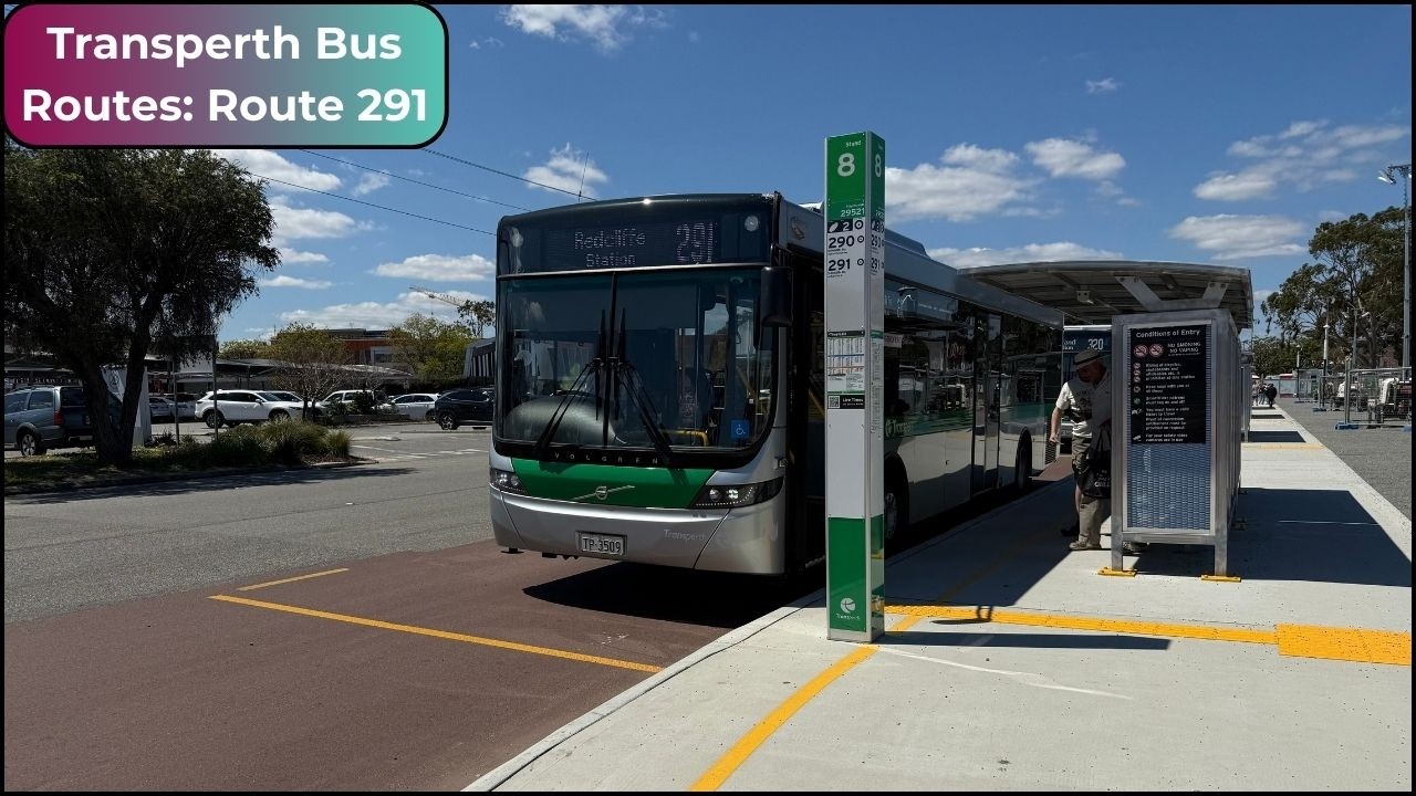 Transperth Bus Routes: Route 291 - YouTube
