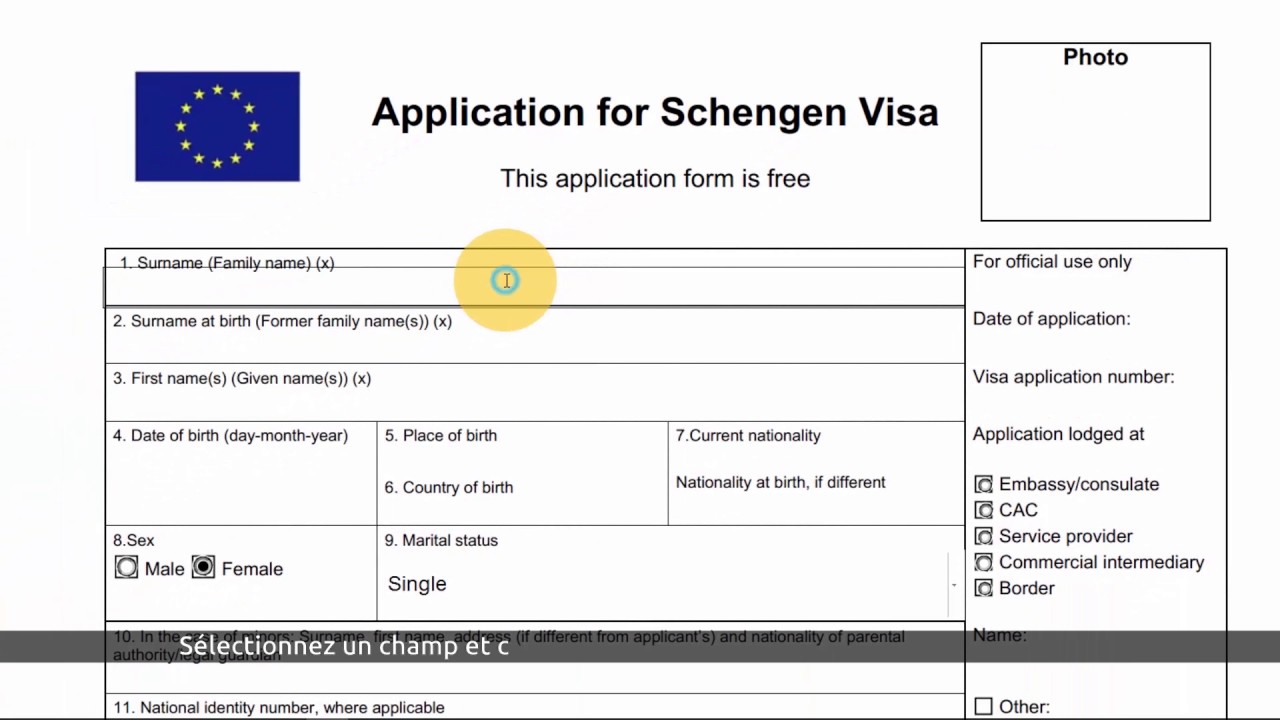 Comment remplir un formulaire PDF sur Windows - YouTube