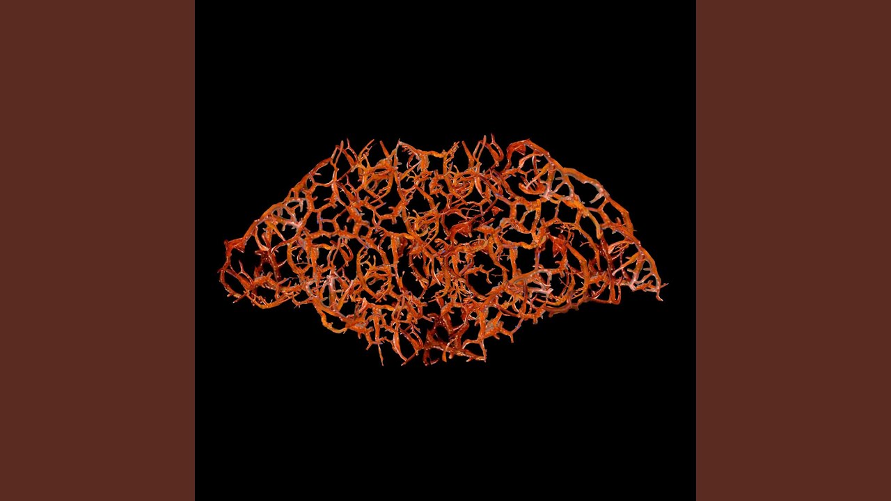 Cyclopia Human - YouTube