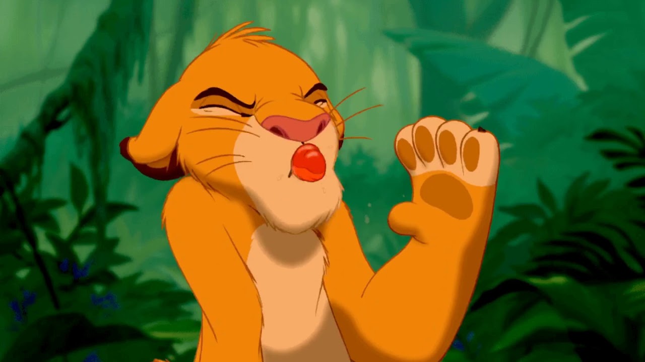 Simba: Scars To Your Beautiful - YouTube