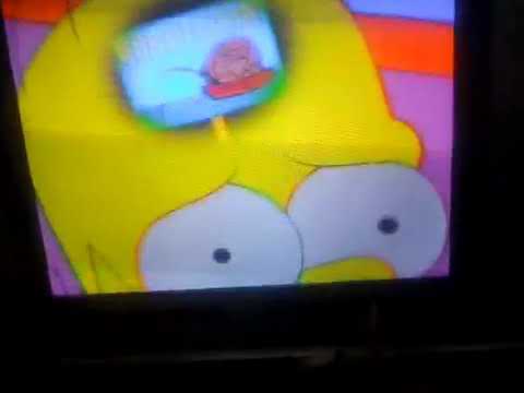 cerebro de homero - YouTube