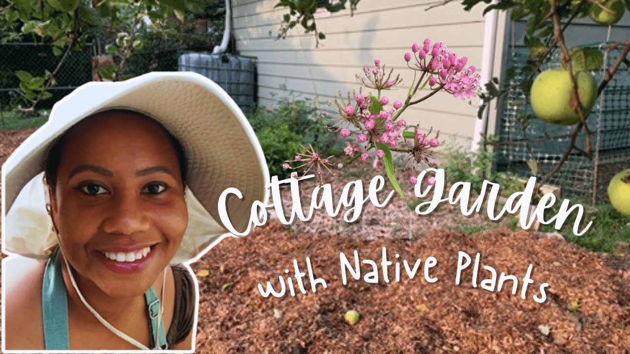 Secrets to a Stunning Native Plant Cottage Garden in Your Backyard! 🌼🌿 ...