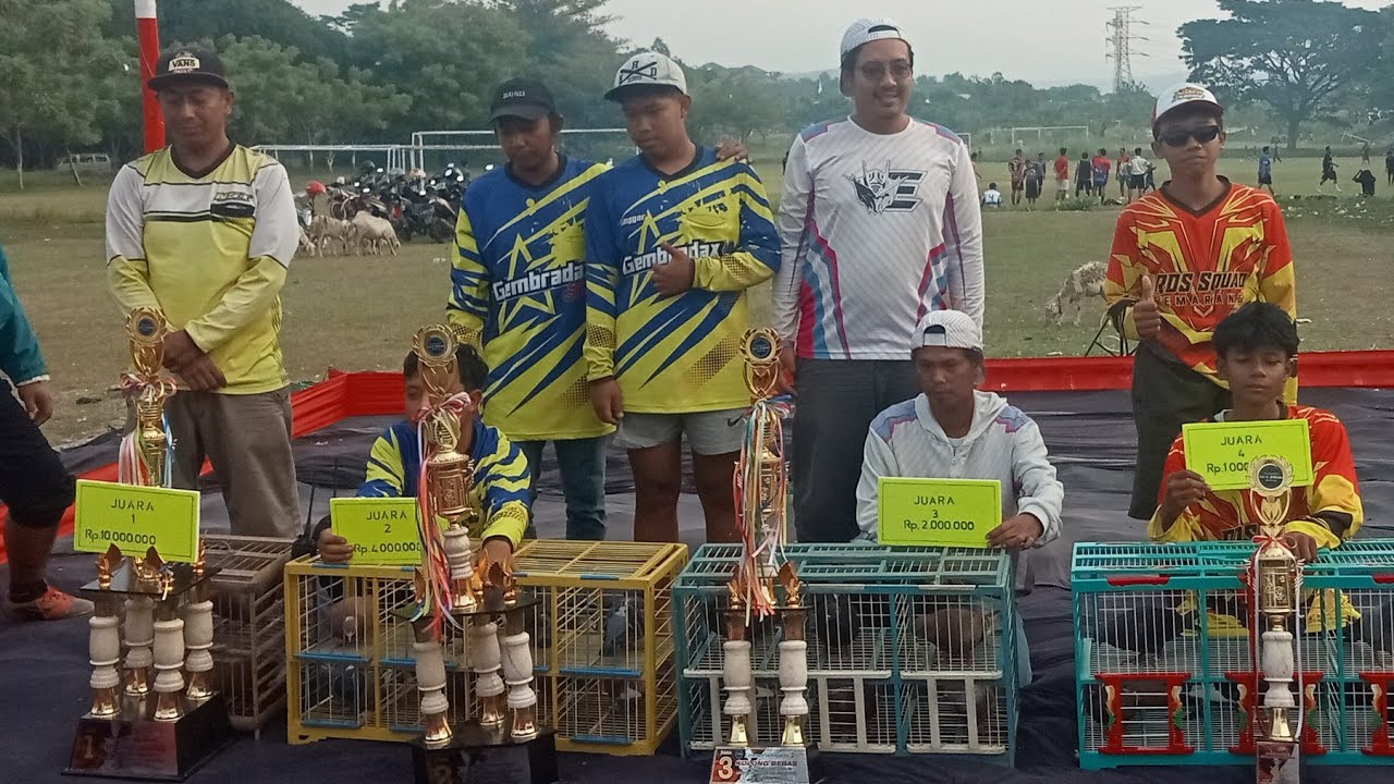 lomba merpati kolong lapak Putra Angkasa Semarang. - YouTube