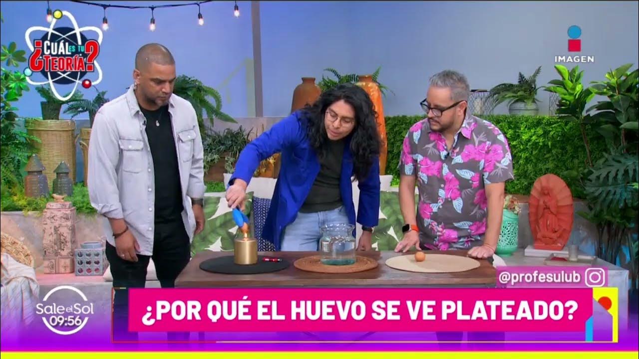 Profe Sulub transforma la TV nacional en un laboratorio | Programa "Sale el sol" - YouTube