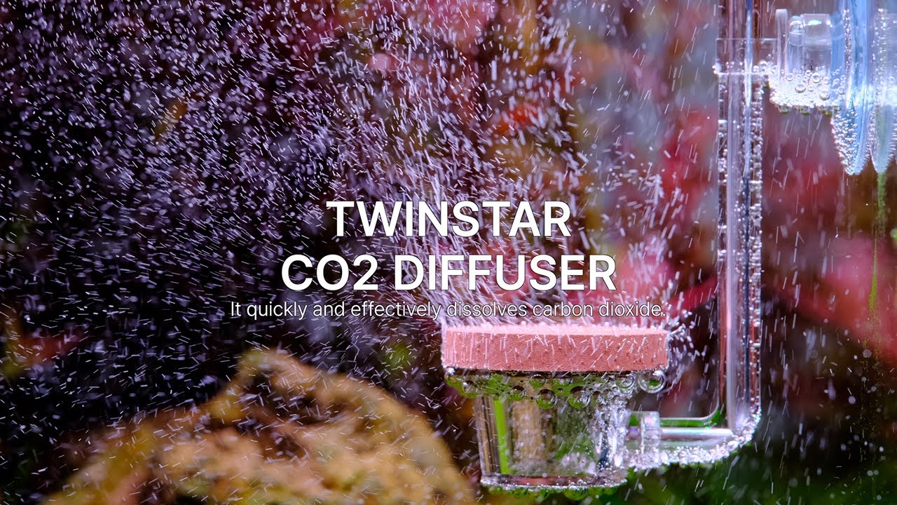 TWINSTAR CO2 Diffuser_4K - YouTube