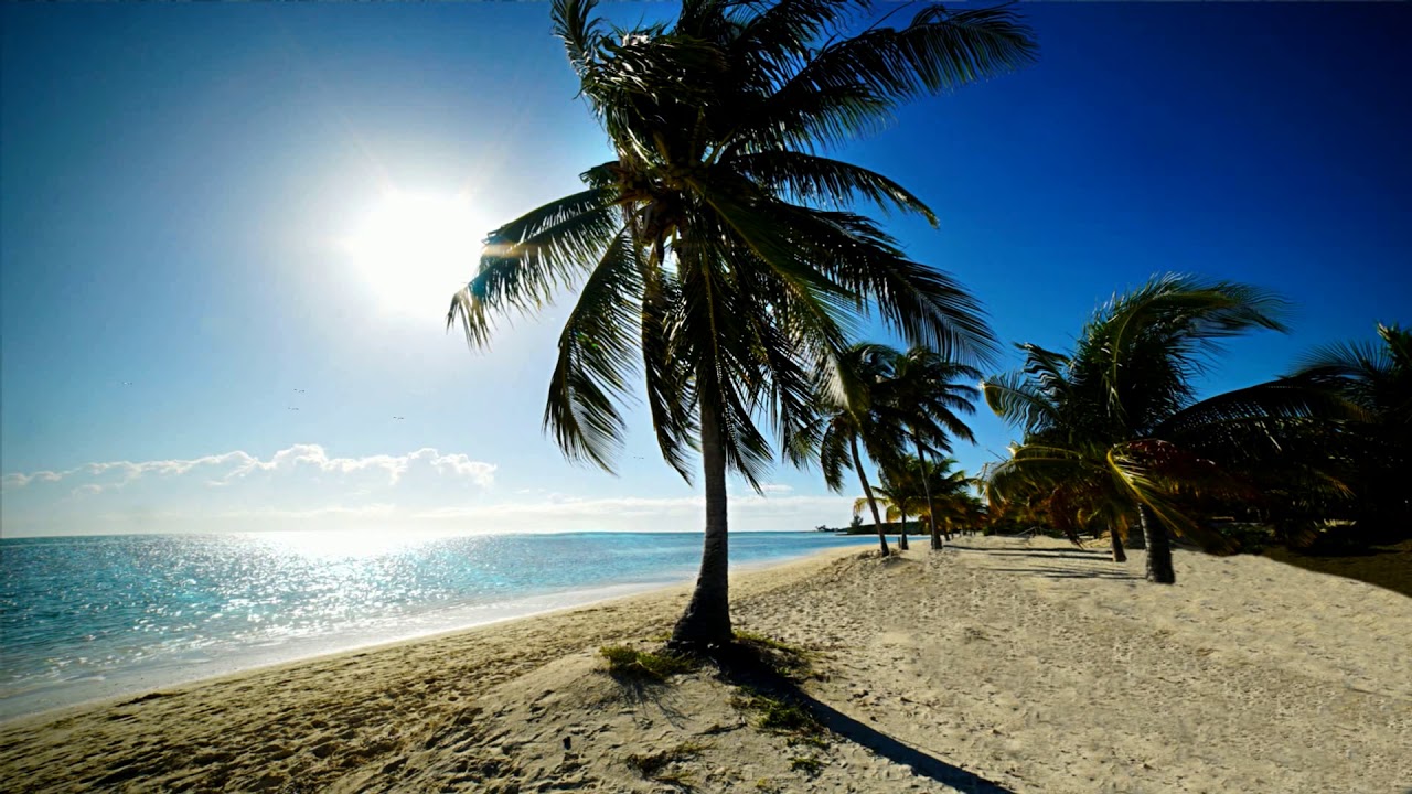 Nice Calm Beach - YouTube