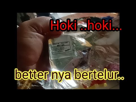 jajan better.... better nya bertelur... - YouTube
