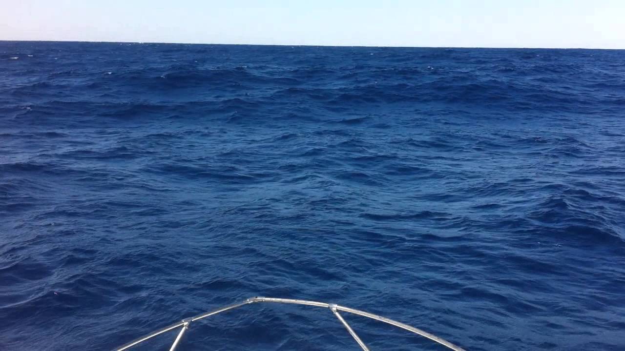 Bertram 28 Takes 10 foot Seas Off Fort Lauderdale - YouTube