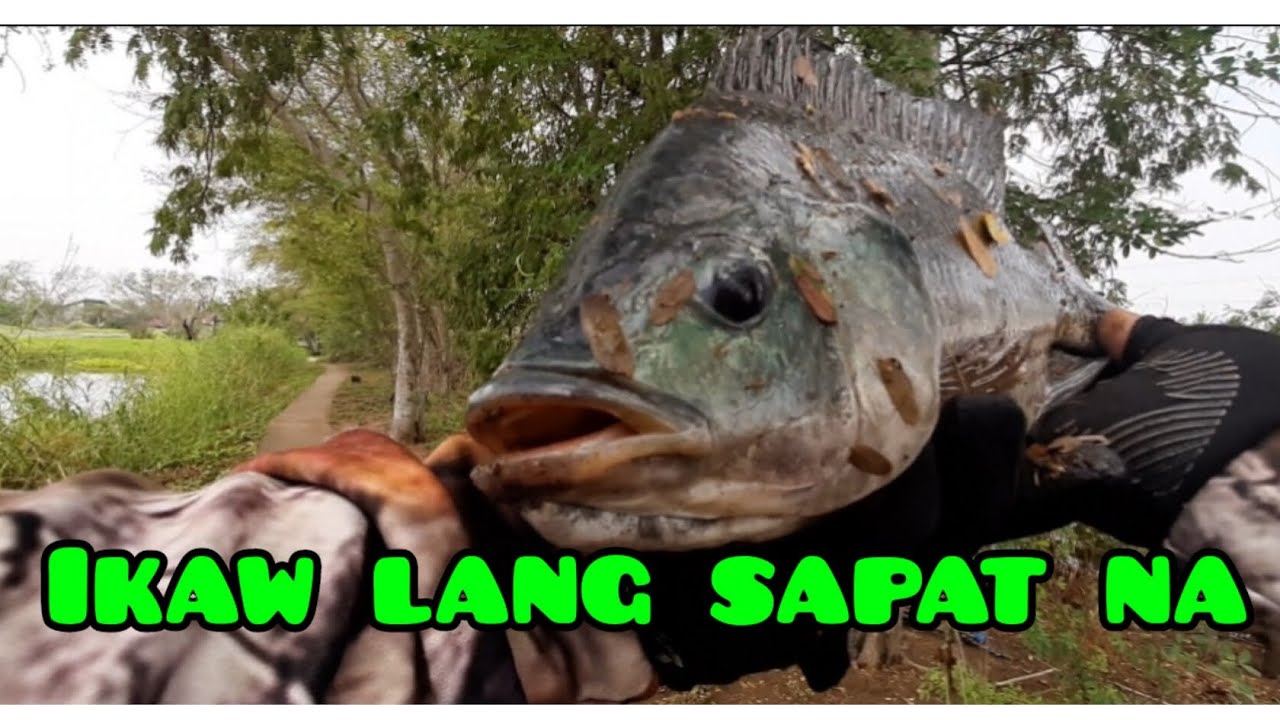ikaw lang sapat na#fishing #fishingadventure #airgunfishing ₱# ...
