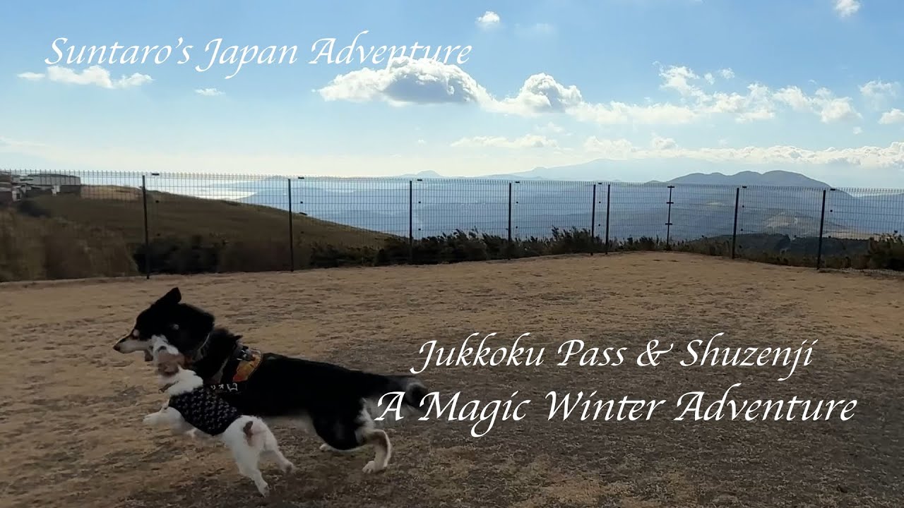 Jukkoku Pass & Shuzenji: A Magical Winter Adventure - YouTube