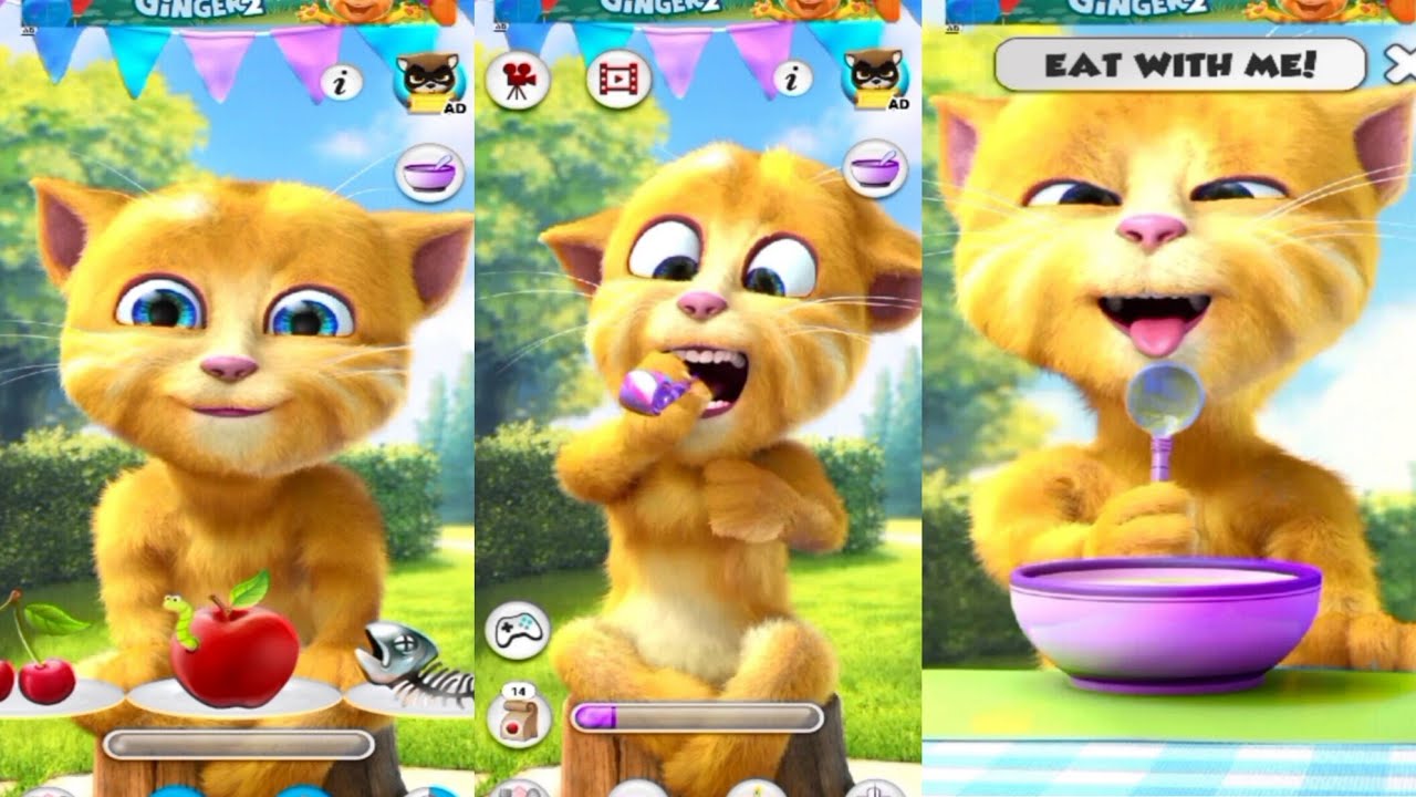 Ginger 2 eat/video enjoy ginger 2// funny cat 🐈😺 ginger 2//eating and ...