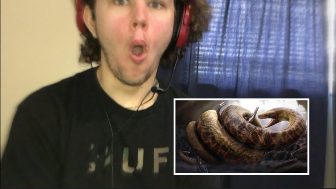 7 BIGGEST SNAKES!! (Reaction) - YouTube