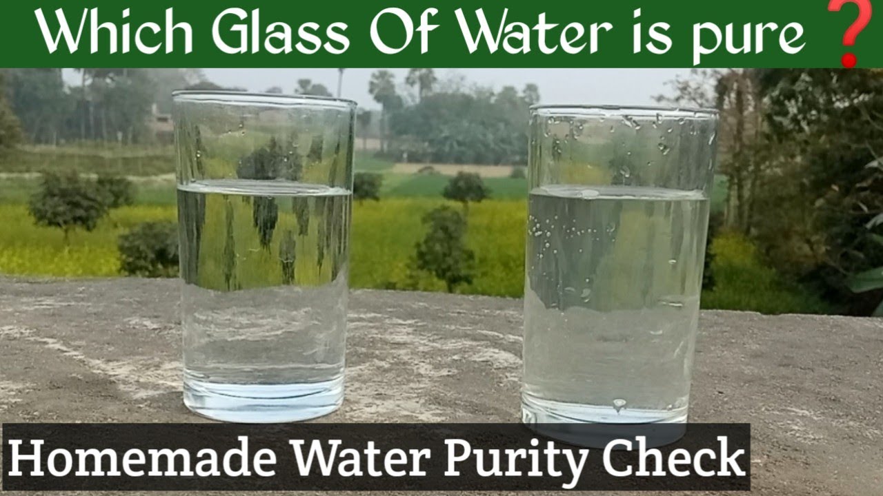 Water Purity check | Science Experiment | Guava leaf Experiment | water ...