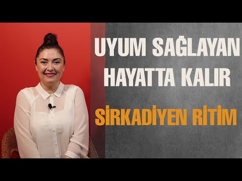 Sirkadiyen Ritim. Uyum Sağlayan Hayatta Kalır.