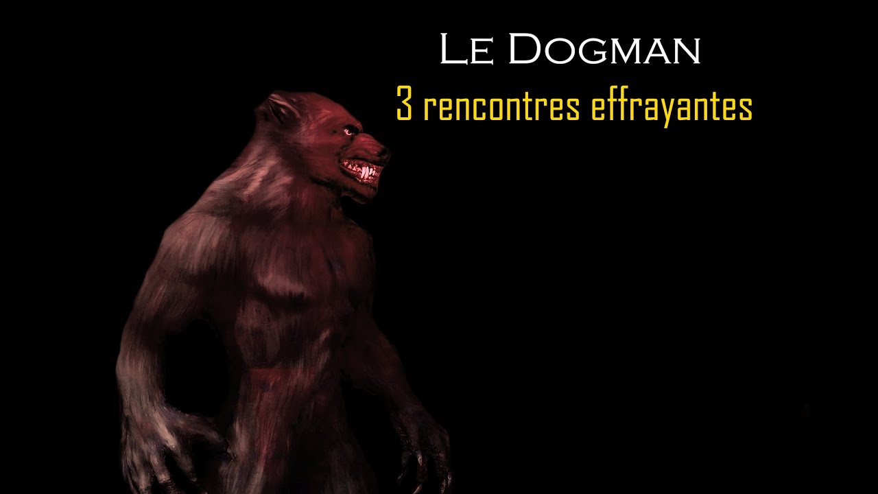 LE DOGMAN-3 histoires vraies paranormales - YouTube