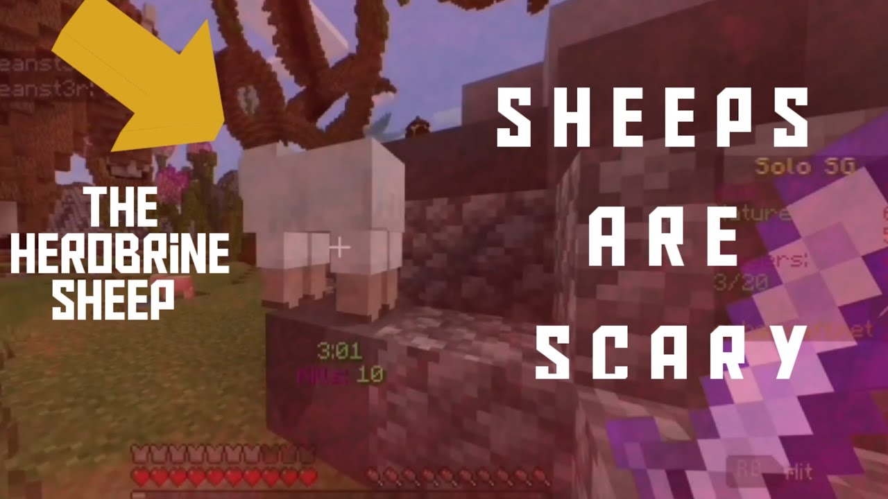 I found a possessed sheep in survival games (Minecraft bedrock edition ...
