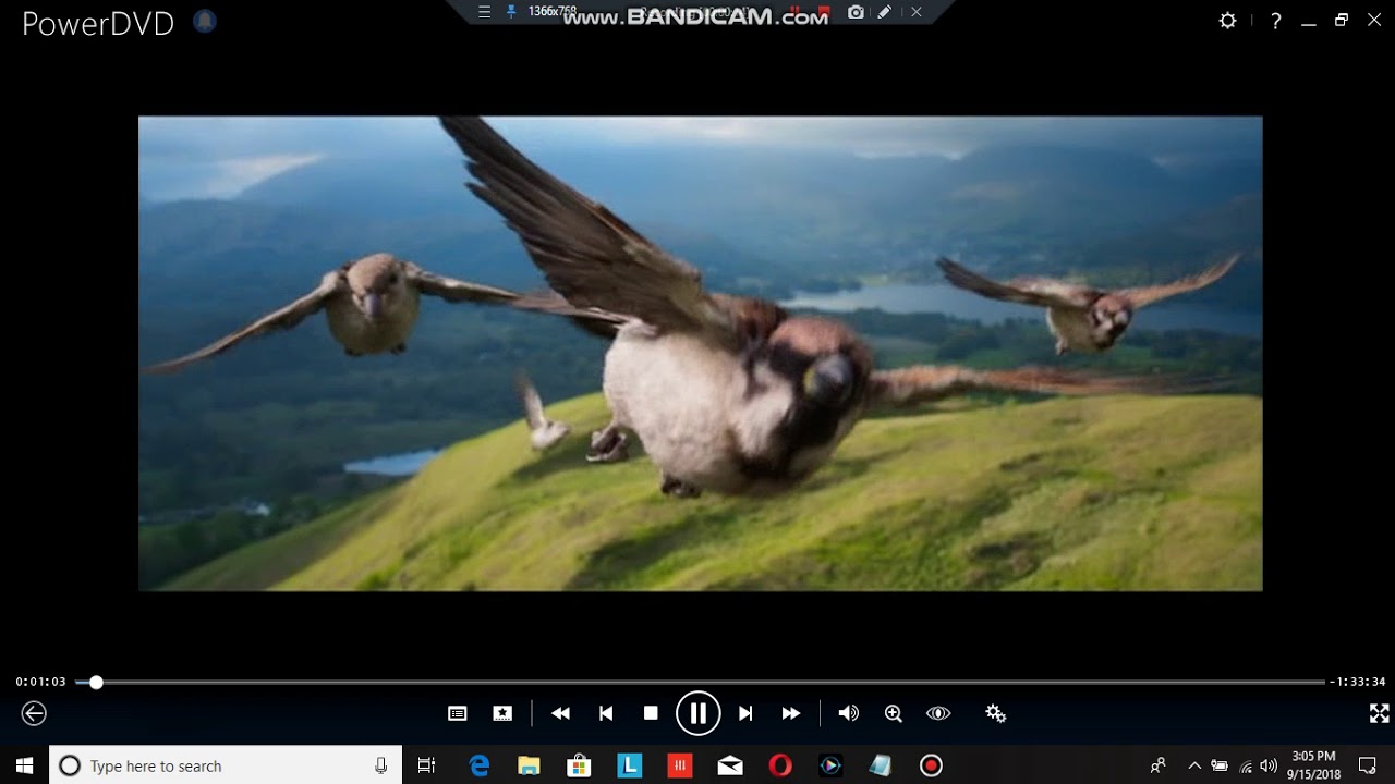 Birds Singing in Peter Rabbit - YouTube