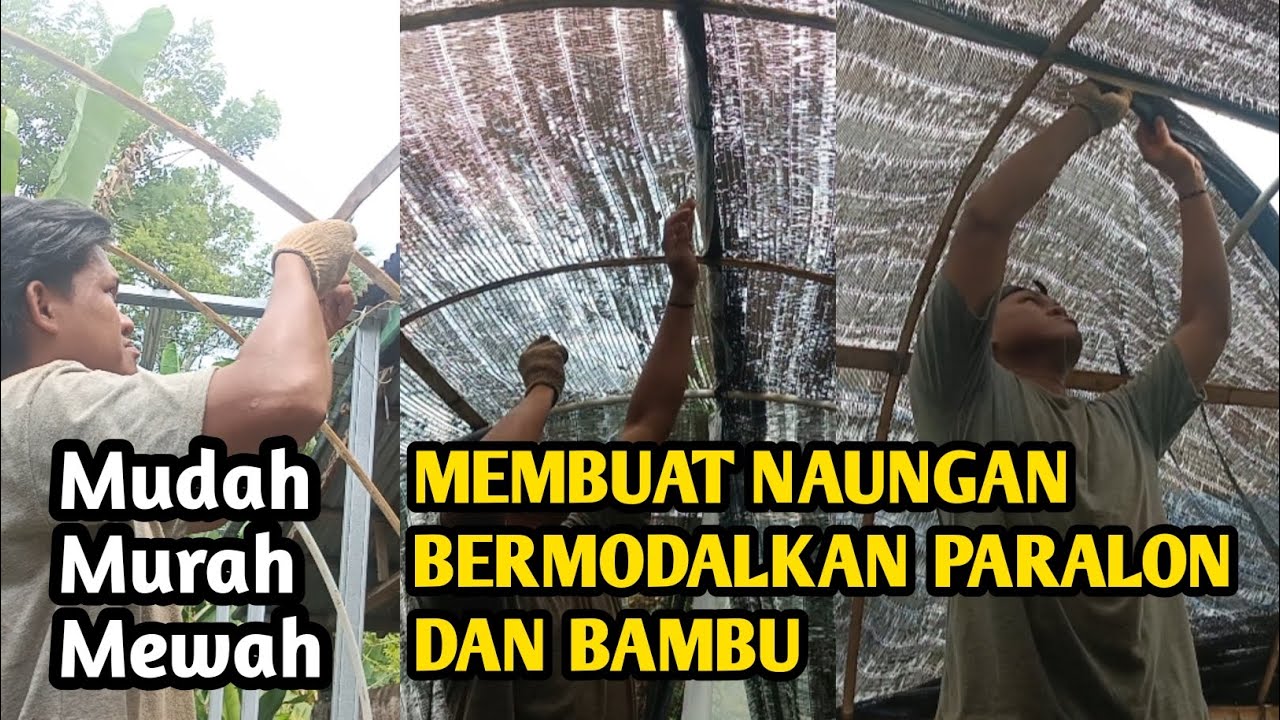 CARA MEMBUAT NAUNGAN ‼️ Super Mudah dan Murah, Cuman Bermodalkan ...