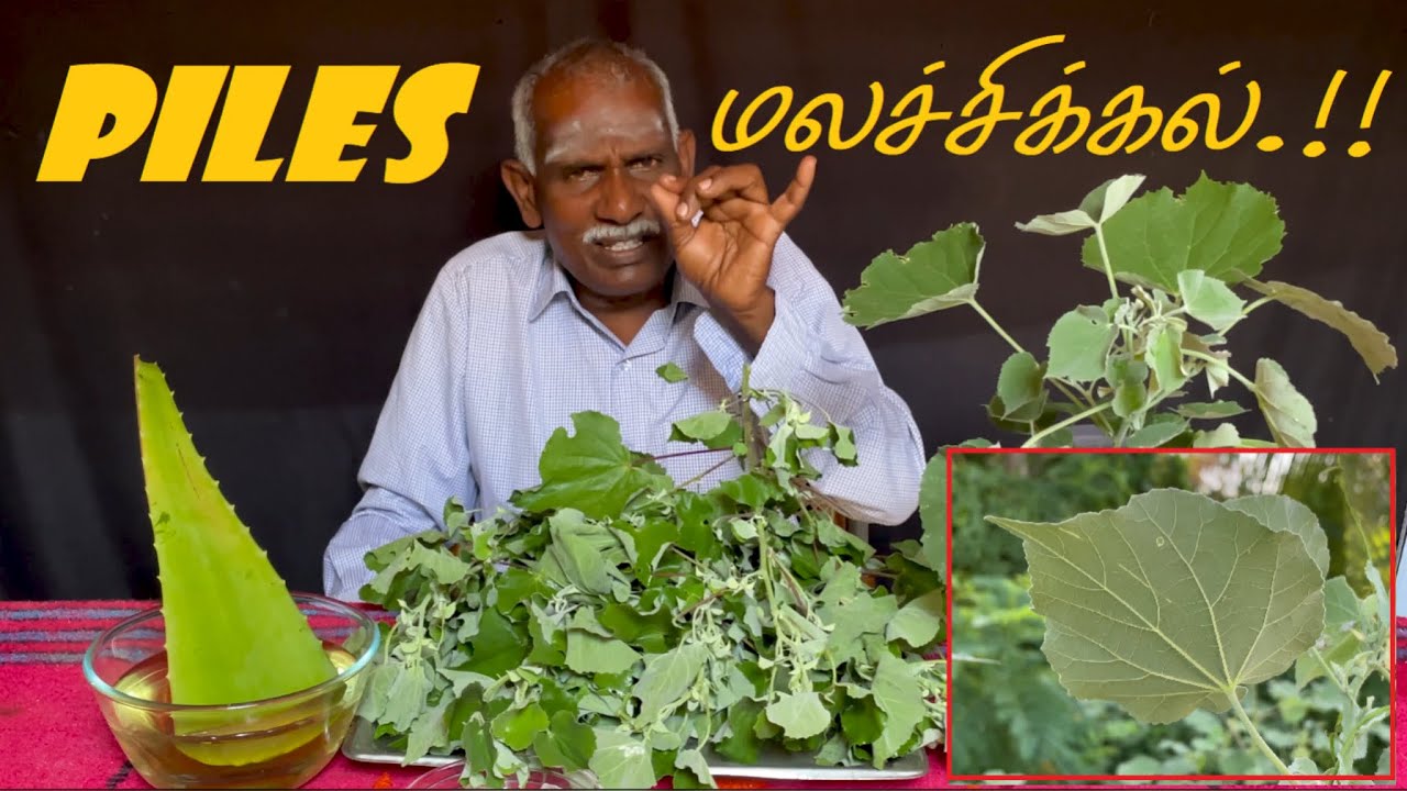 piles மலச்சிக்கல் மூலம் தொடர்பான அனைத்து பிரச்சனைகளும் குணமாக சிறந்த ...