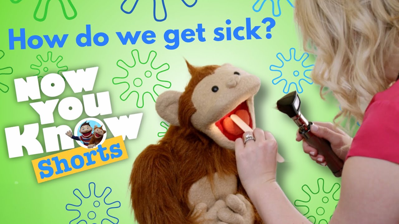 How do We Get Sick 🦠 | Now You Know | Learning for Kids 🧑🏻🐵 - YouTube