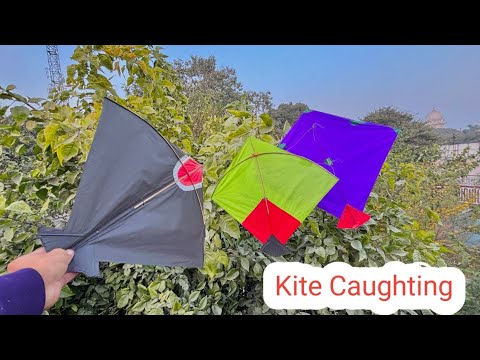 Kite Caughting | Kite Looting 🔥 How to loot a Kite - YouTube
