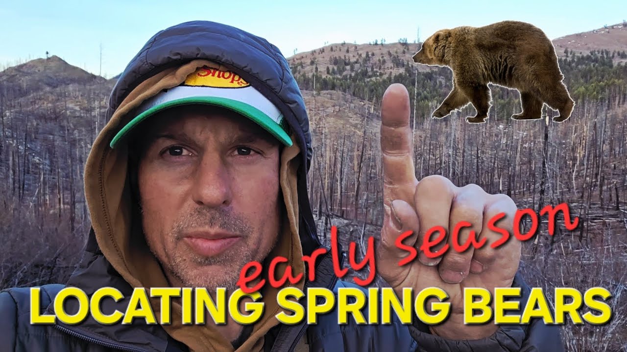 Locating early season Spring Bears. - YouTube