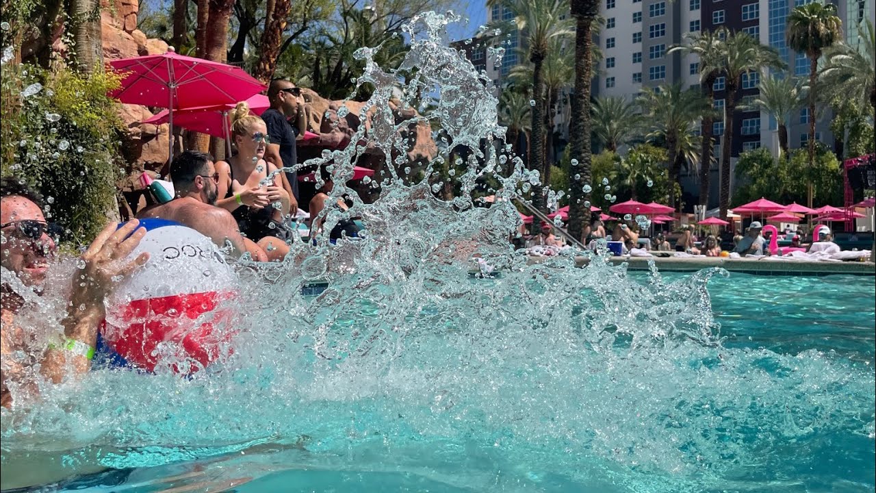 Here’s Why The Flamingo in Las Vegas Might Be the BEST PARTY Pool on ...