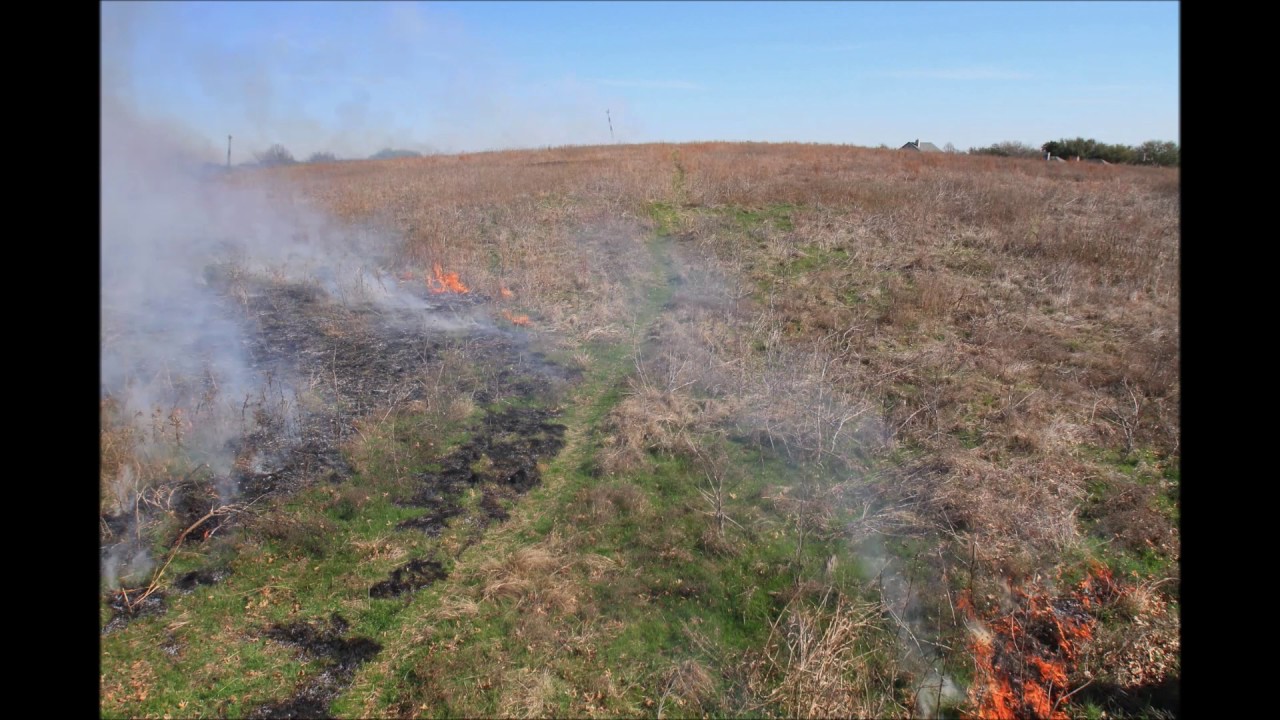 The Flower Mound - Prescribed Burn - YouTube