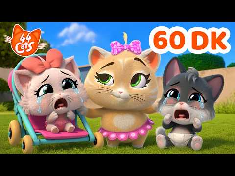 44 Kedi | Yavru Acil Durumu: Bir yavru kedi ağlıyor! 😿 | TAM BÖLÜMLER +100 Dakika