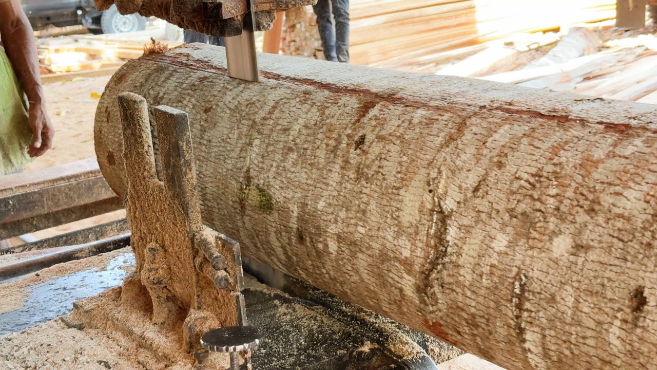 Sawing Secrets Revealed Master the Art of Sawing in Woodworking Magic ...