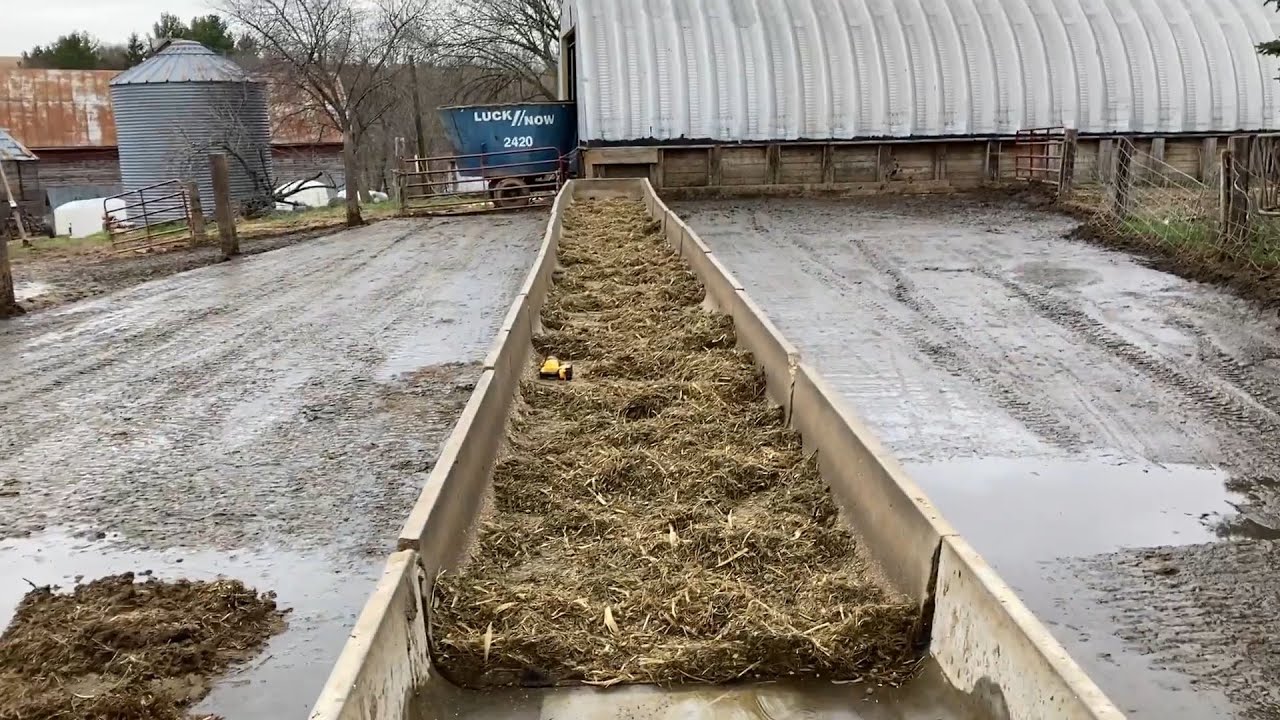 new concrete feed H bunk addition on the Wisconsin dairy farm - YouTube
