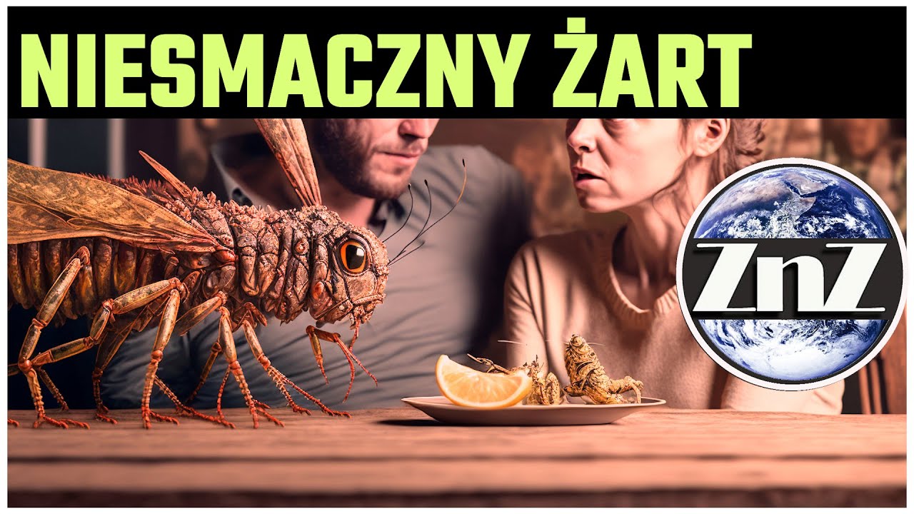 Będziesz jadł robaki i będziesz szcześliwy - YouTube