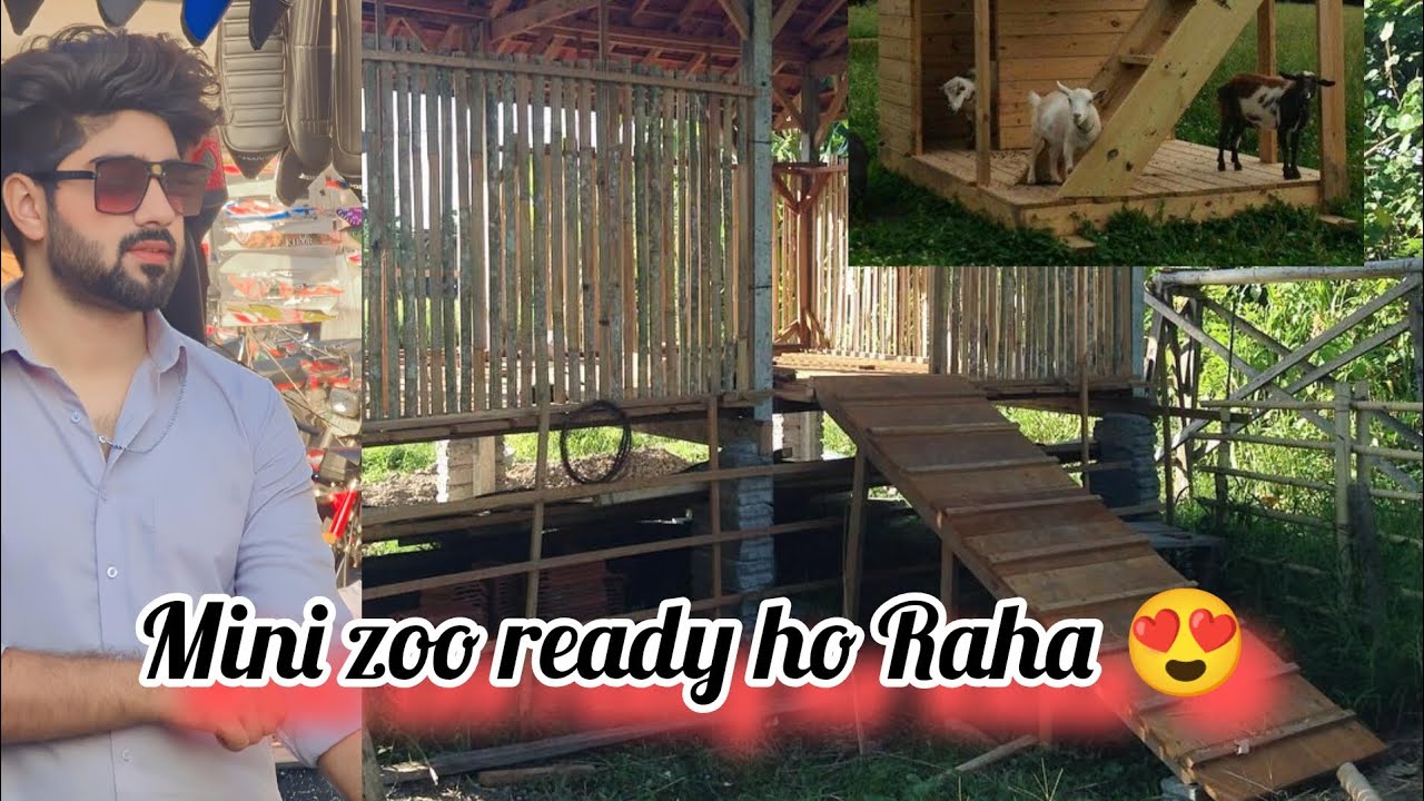 Mini zoo ka first step 🪜 #viralvideo #minizoo #trending #zoo #animals # ...