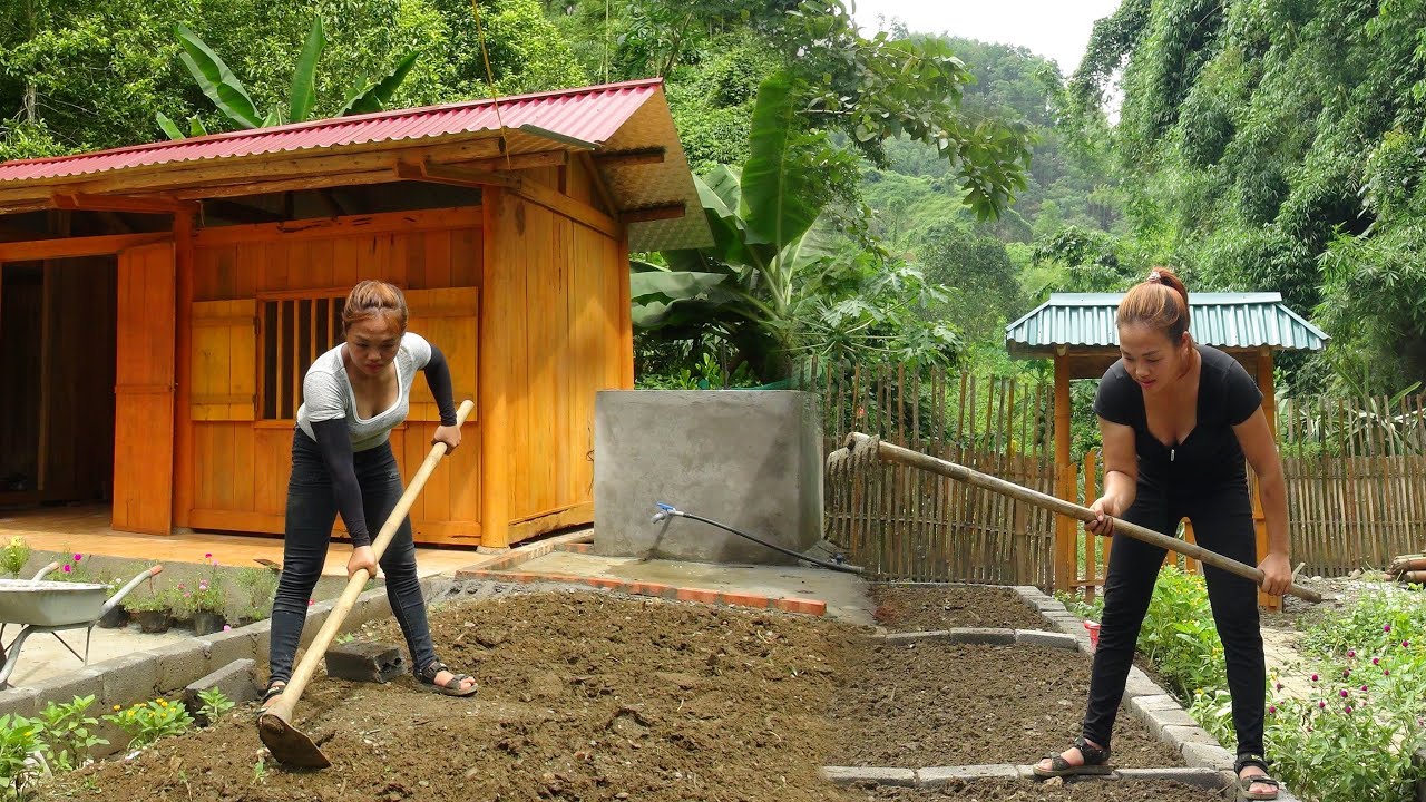 Building farm life, Gardening, flower growing, flower nursery - Daily ...