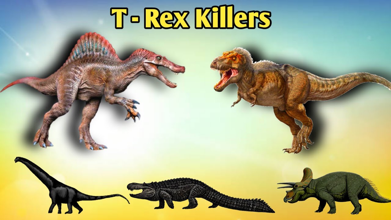 Top 5 Dinosaurs that could kill a T-Rex / - YouTube