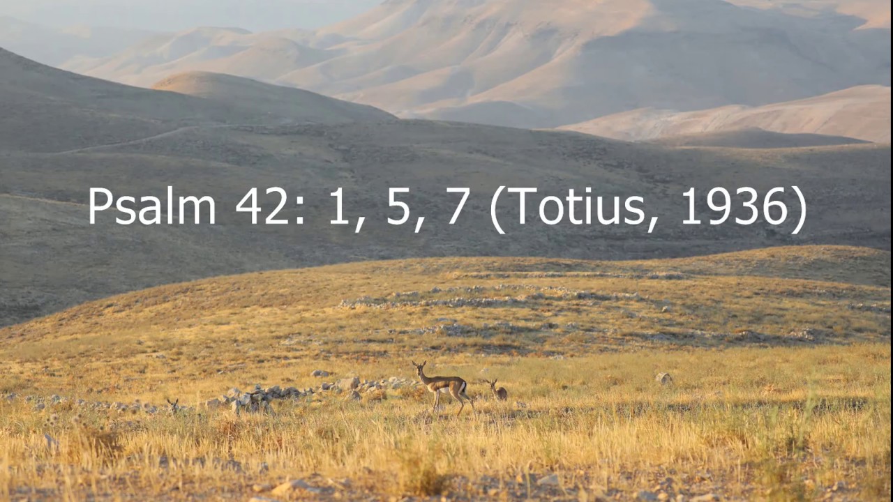 Psalm 42 - Shabach - YouTube