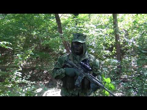 AOR II Camouflage Effectiveness