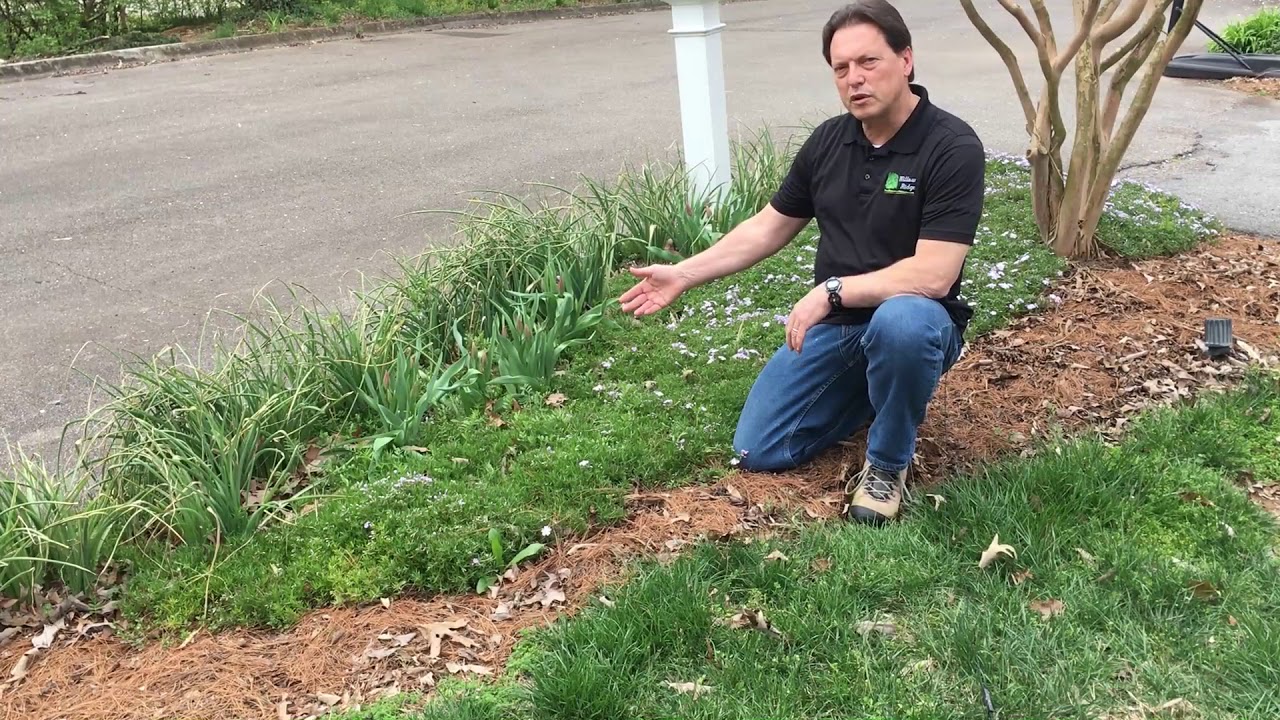 Design Tip : Layering - YouTube