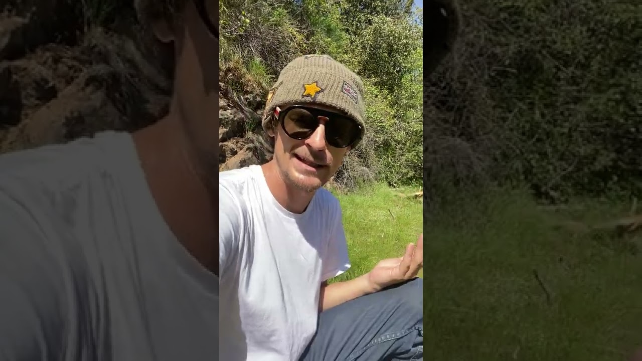 White People love Reggae Music .. - YouTube