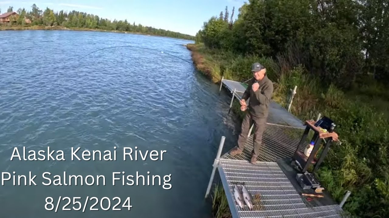Alaska Kenai River Silver Salmon Fishing - YouTube