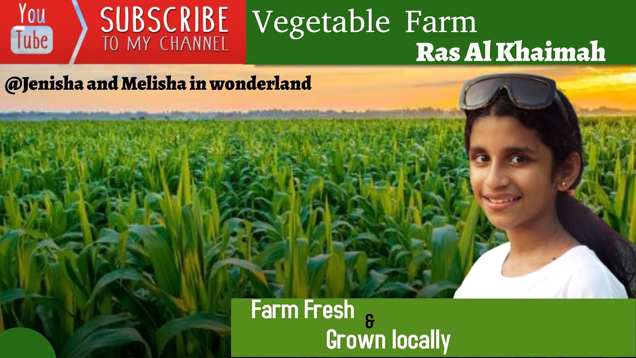 Vegetable Farm - Ras Al Khaimah - YouTube